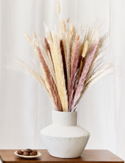 Pampas Grass Pack! - Home of The Humble Warrior