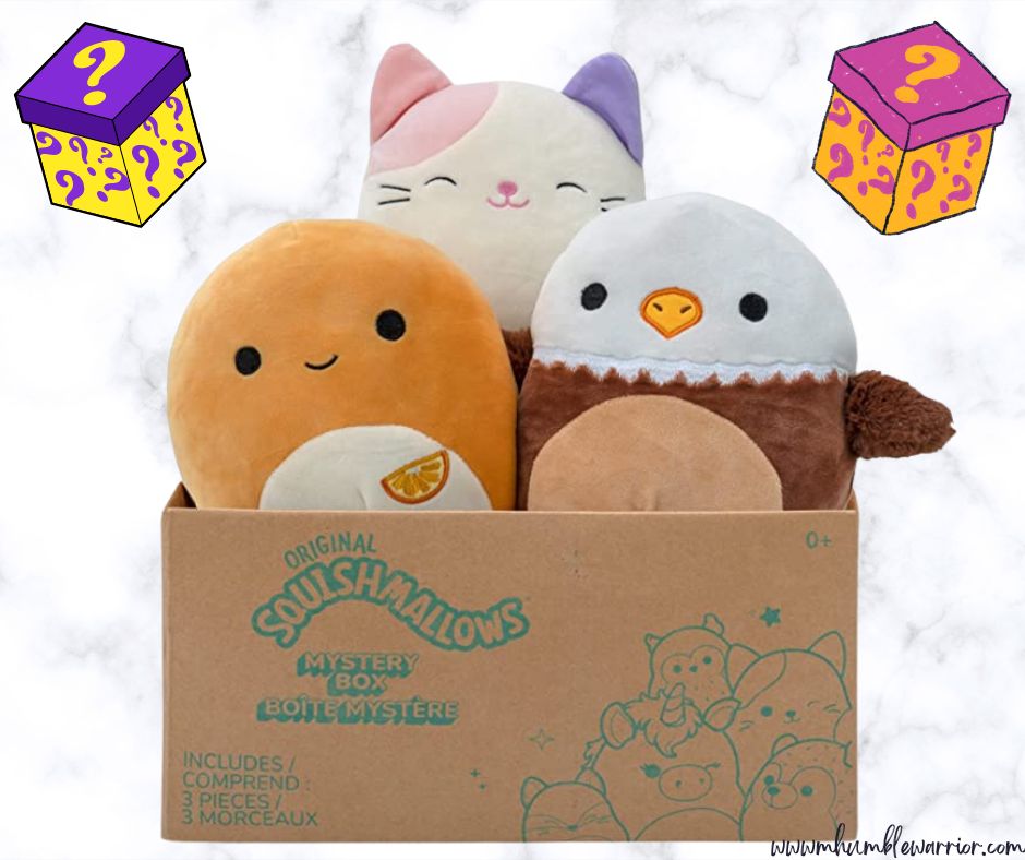 Squishmallow Mystery boxes! - Home of The Humble Warrior