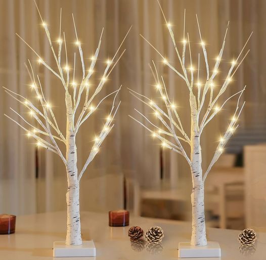 Sanjicha 2-Pack 2FT Lighted Birch Trees - Home of The Humble Warrior