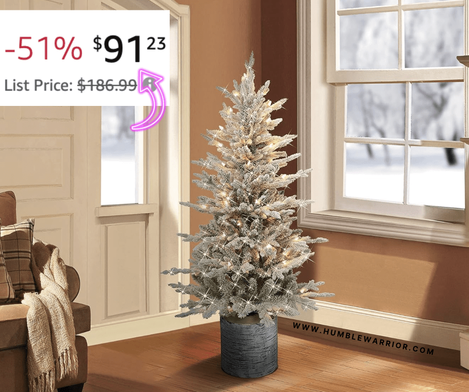 PULEO International 4.5 Ft Pre-Lit Potted Arctic Christmas Tree! - Home ...