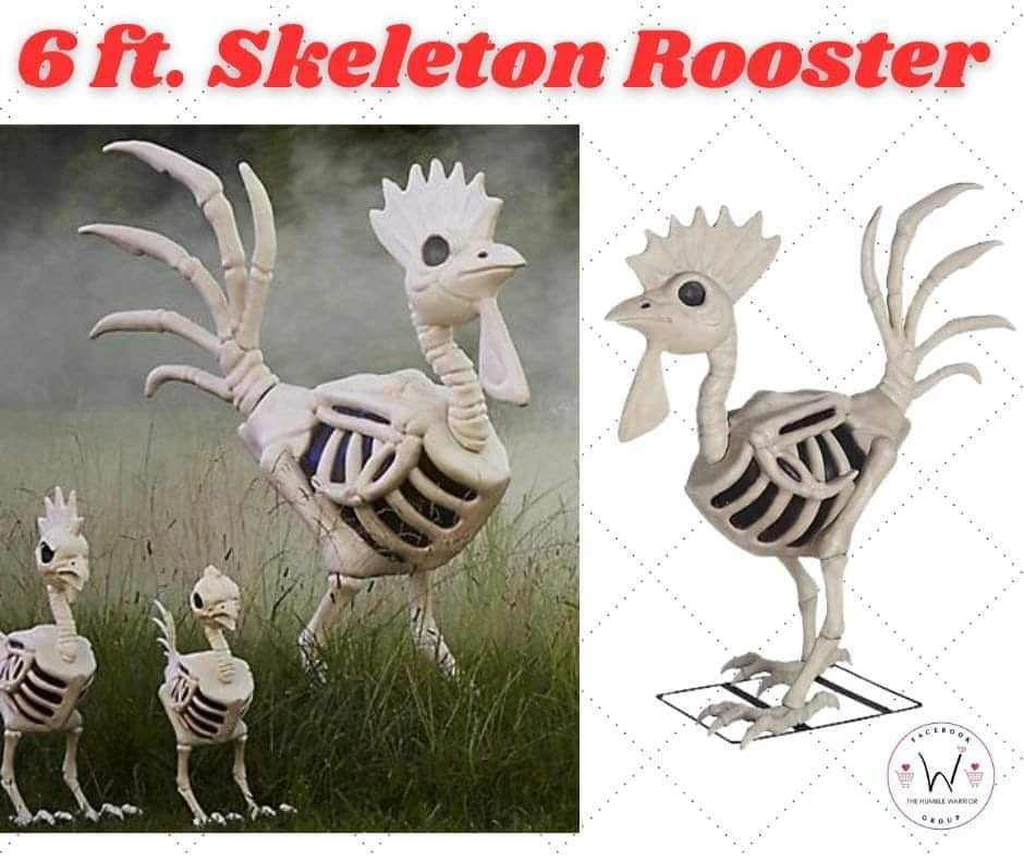 6ft Rooster Skeleton!! - Home of The Humble Warrior
