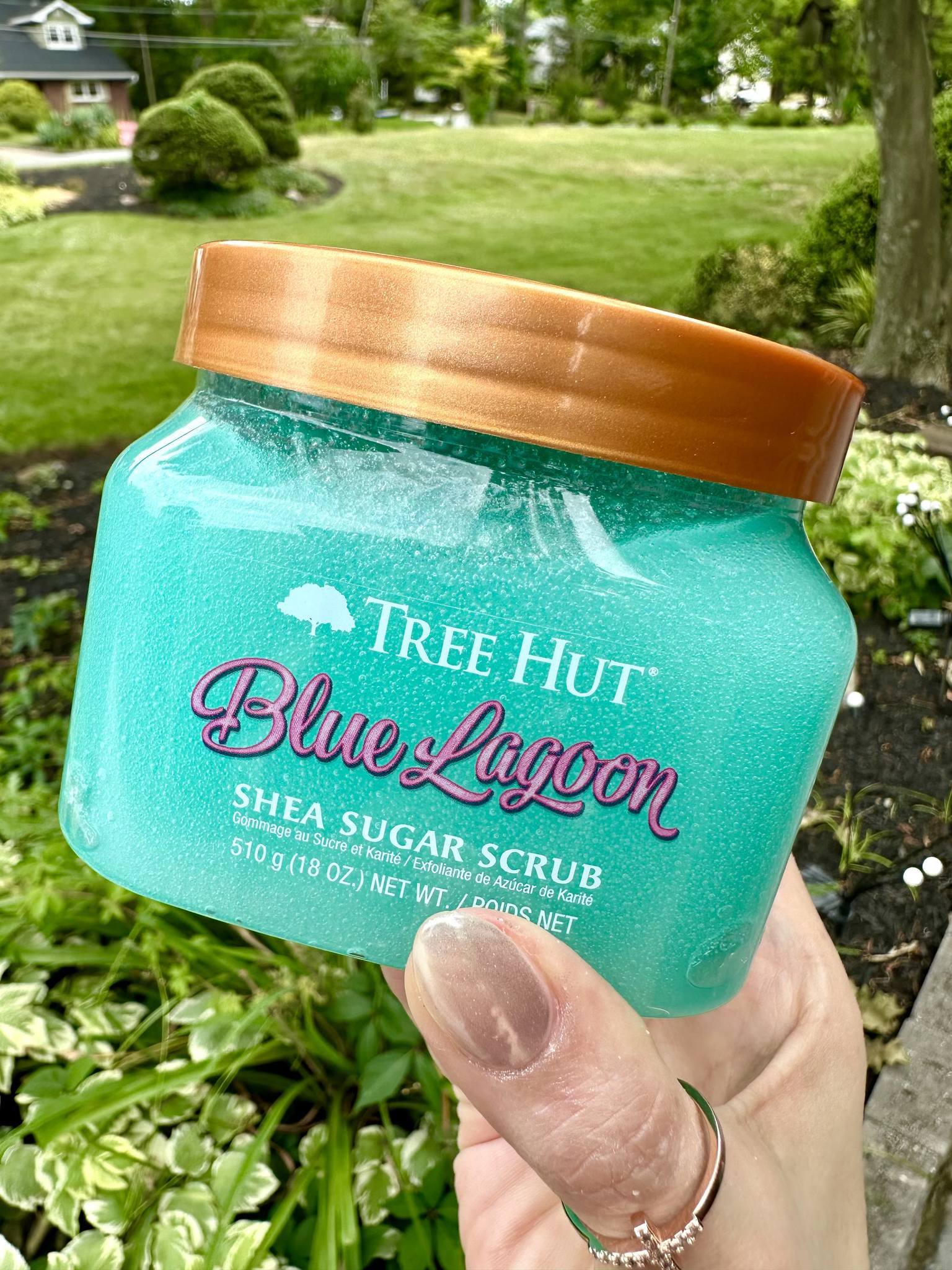 The Tree Hut Blue Lagoon Shea Sugar Scrub! - Home of The Humble Warrior
